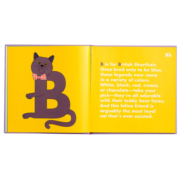 Lady Legends Alphabet Book – Alphabet Legends US