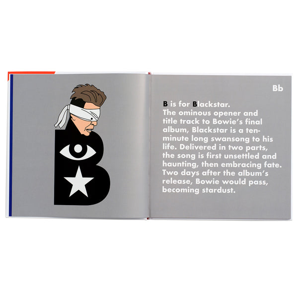 Harry Styles Alphabet Book - The ABC book with with Style – Alphabet ...